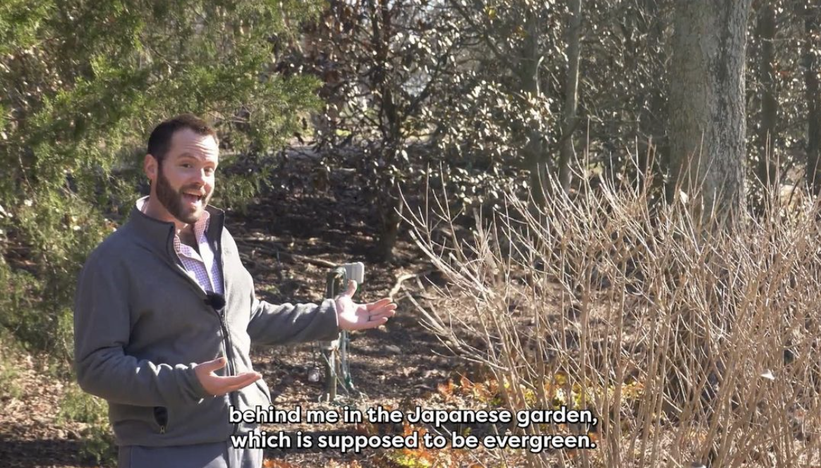 Winter storms impact on Nashville plants - Herd Media