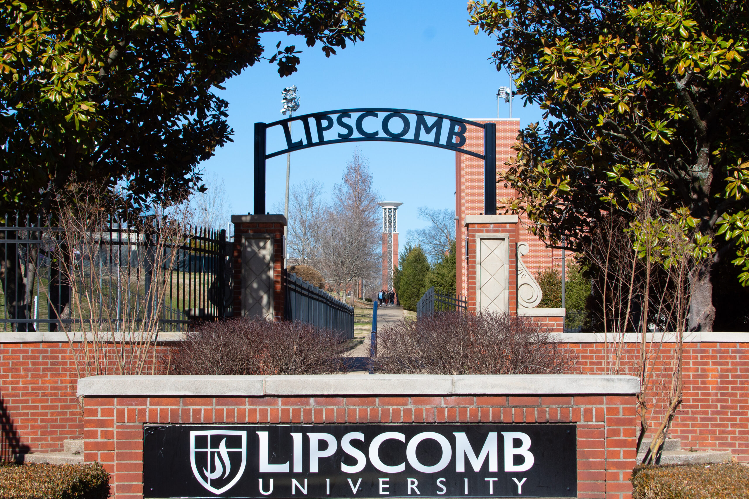 Dining Revamp: Bison Café Refreshes Menu and Layout - Herd Media